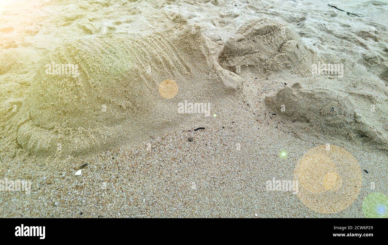 Figures of a rabbit and two cats made of sand on the ocean beach Stock ...
