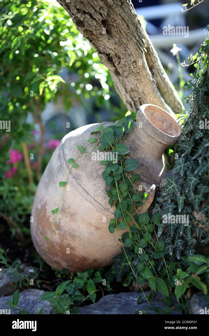 Decoration with clay jug and green plants Stock Photo - Alamy