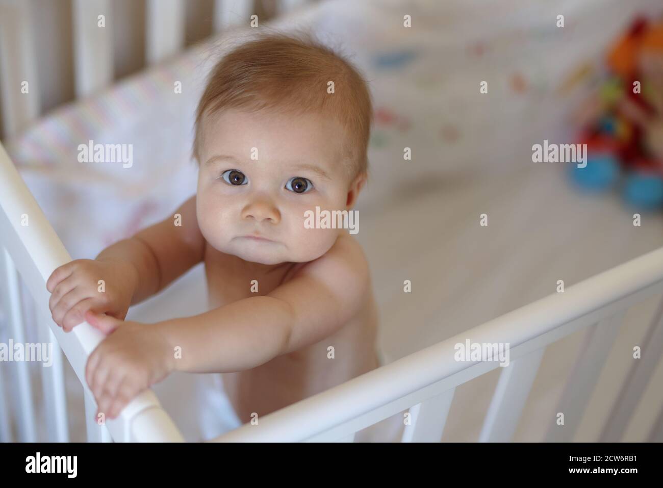 8 month old baby girl standing in the crib Stock Photo - Alamy