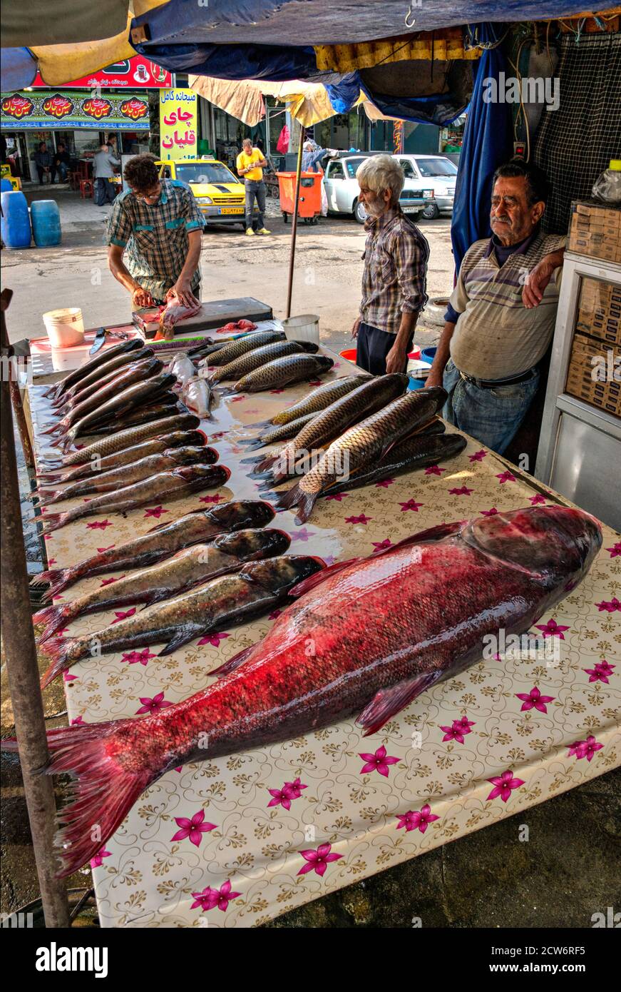 Fish stall at the fish market, Bandar-e Anzali, Iran Stock Photo - Alamy