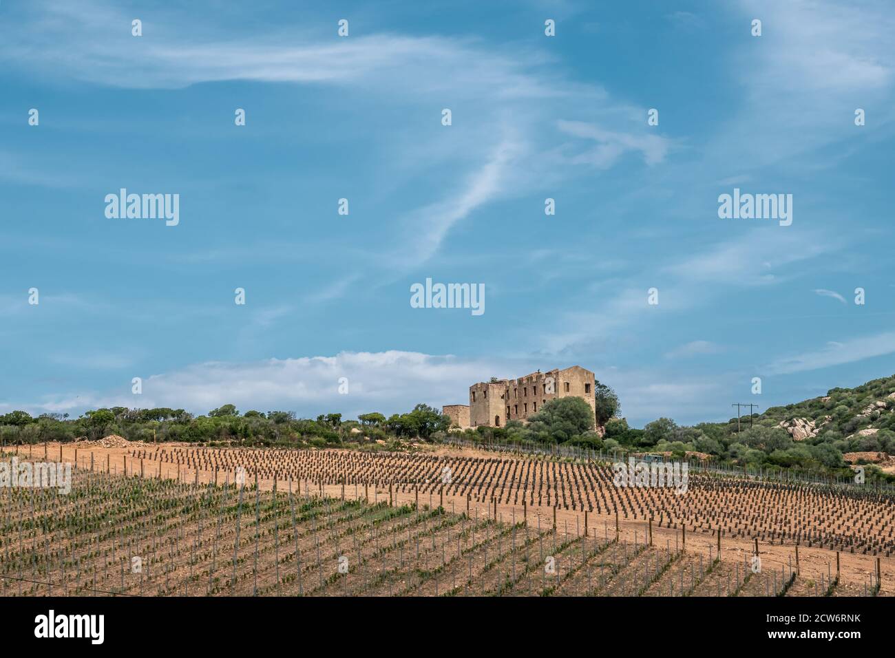 Freshly panted vineyards surround the derelict chateau of Prince Pierre ...