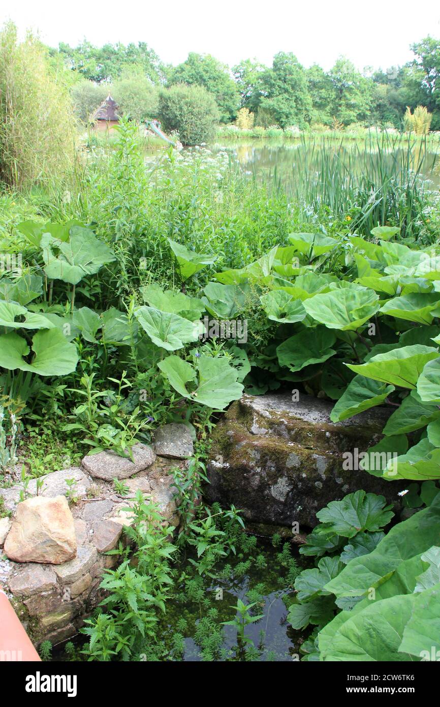 in a garden in venansault in france Stock Photo - Alamy