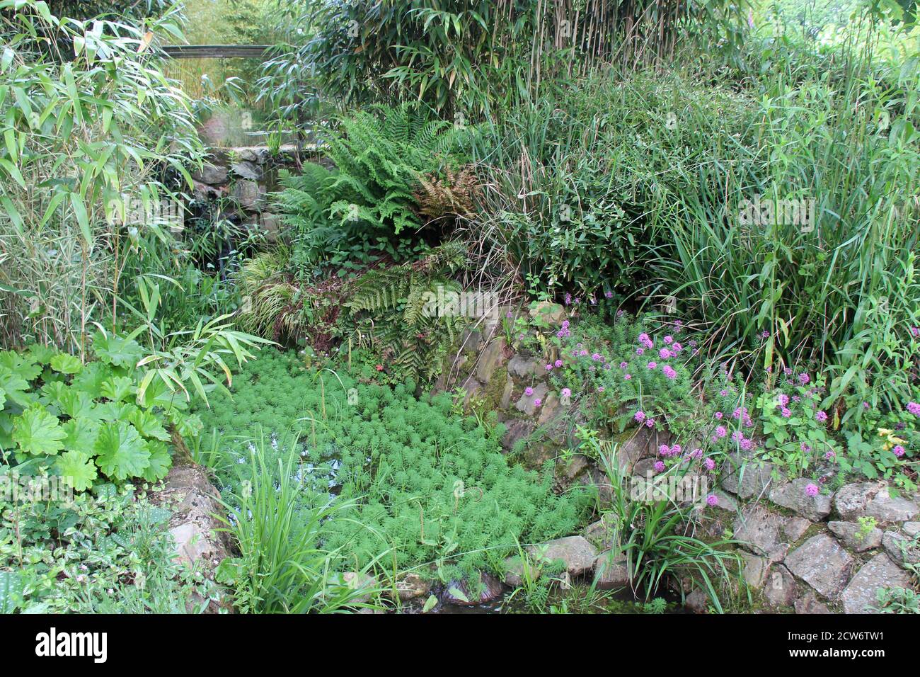 in a garden in venansault in france Stock Photo - Alamy