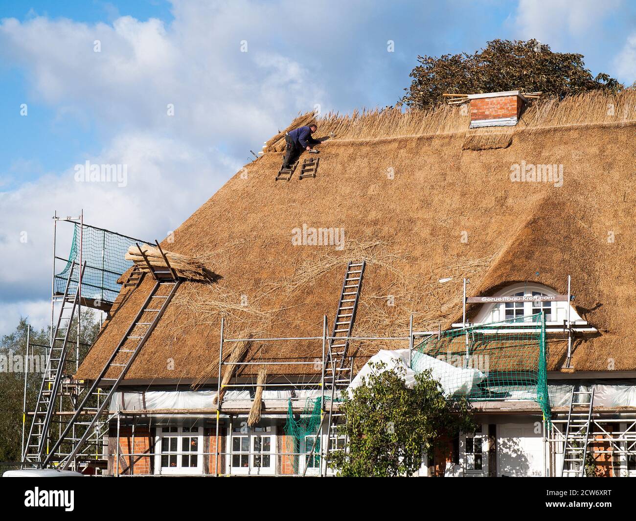 Thatchers at work restoring the thatched roof of an old farmhousein ...