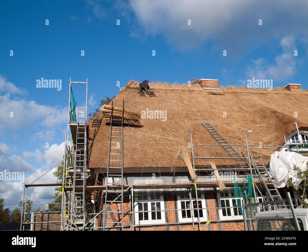 Thatchers at work restoring the thatched roof of an old farmhousein ...