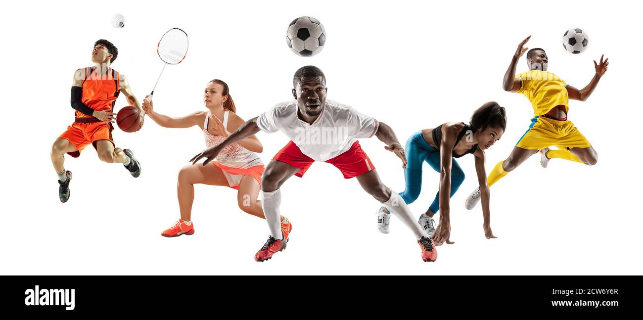 Collage of different professional sportsmen, fit men and women in ...