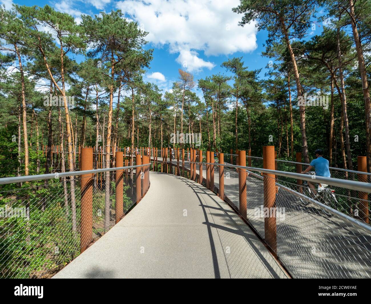 bicycle path in between the trees Stock Photo - Alamy