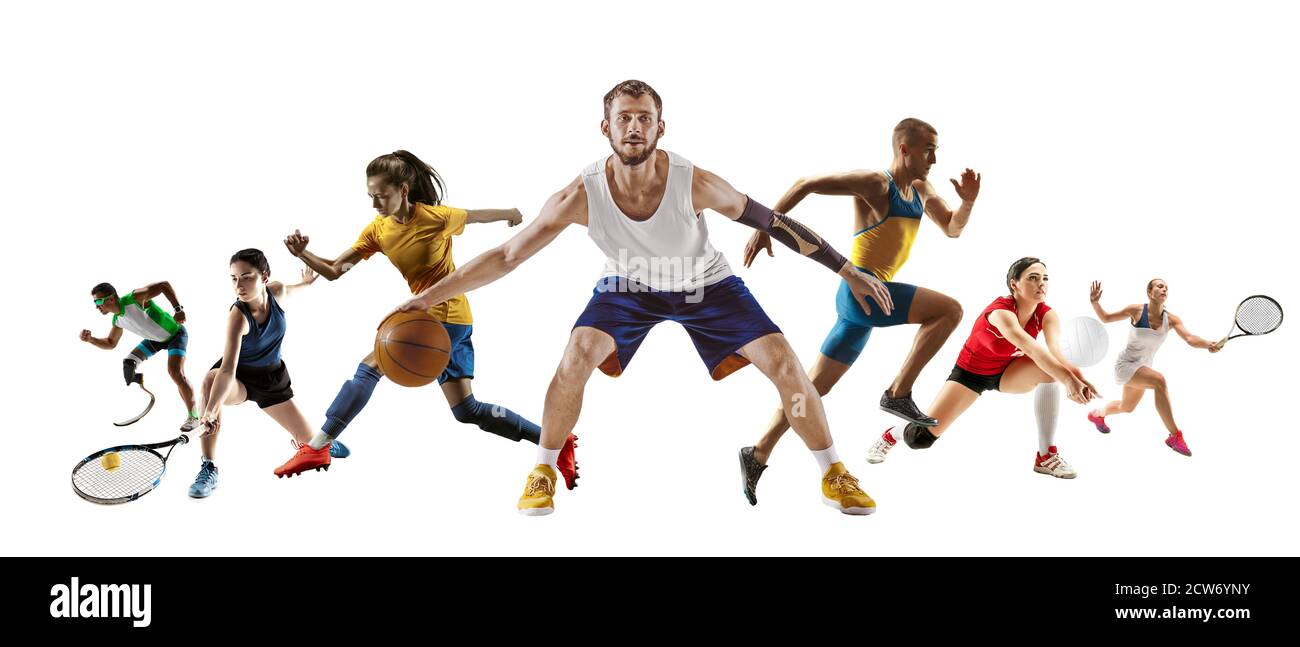Collage of different professional sportsmen, fit men and women in ...