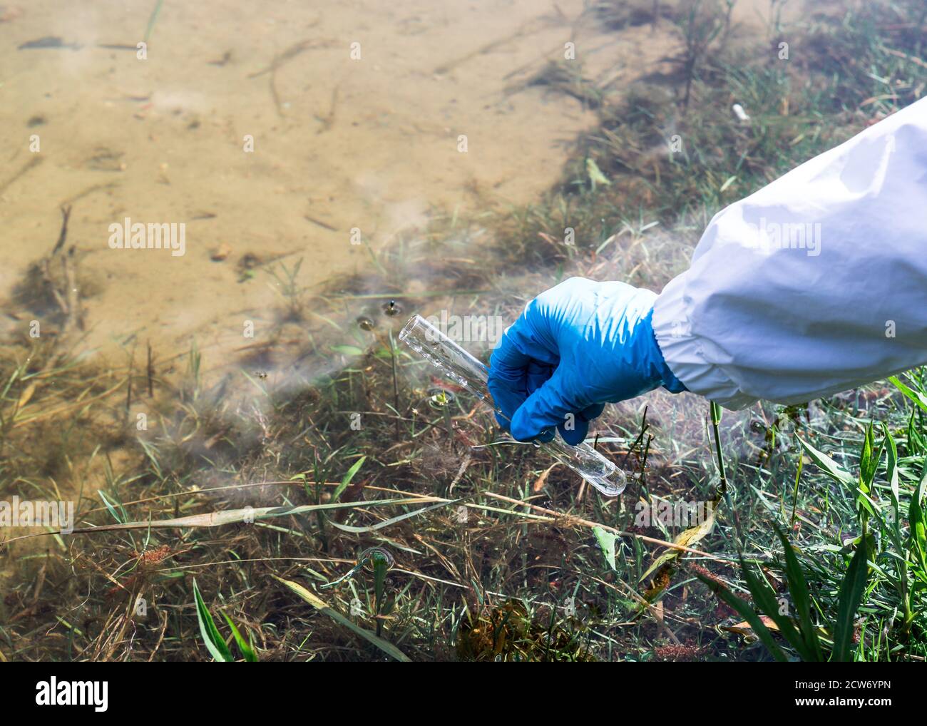 The concept of water pollution in the pond, river, lake, sea. The ...