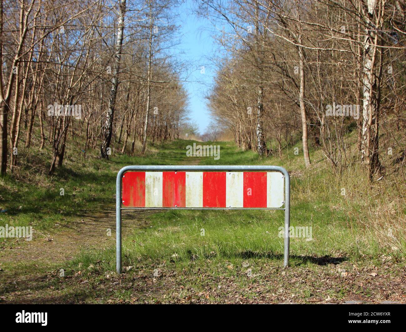 Tree blocking road sign hi-res stock photography and images - Alamy
