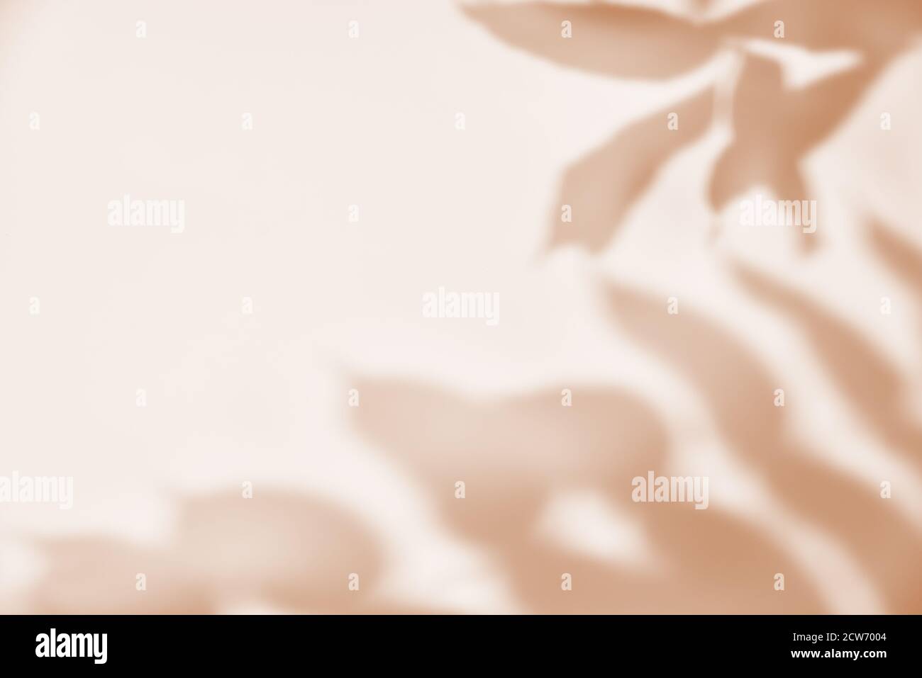 Leaf shadow on pastel background. Creative abstract background. Nature ...