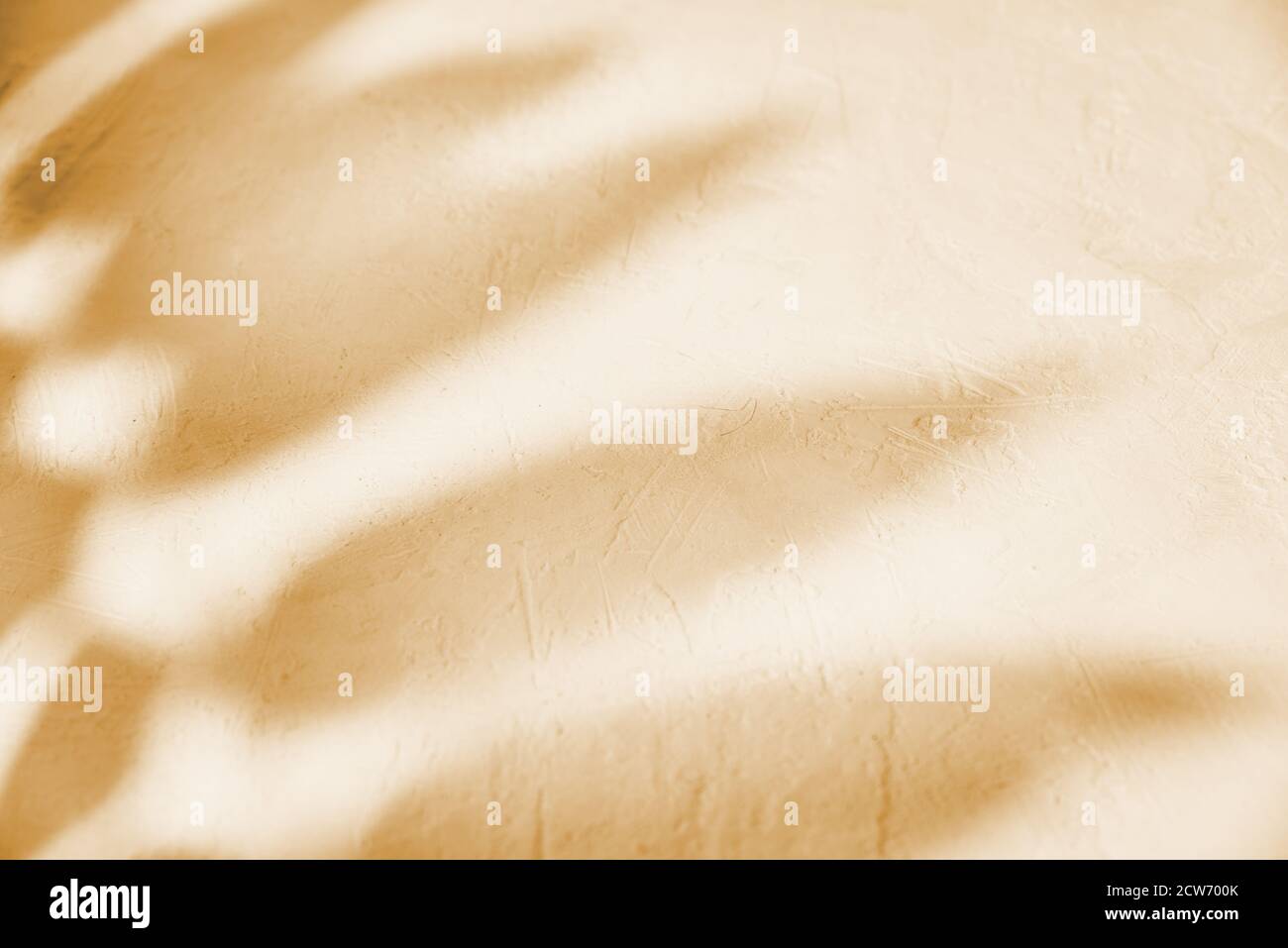 Leaf shadow on pastel background. Creative abstract background. Nature ...