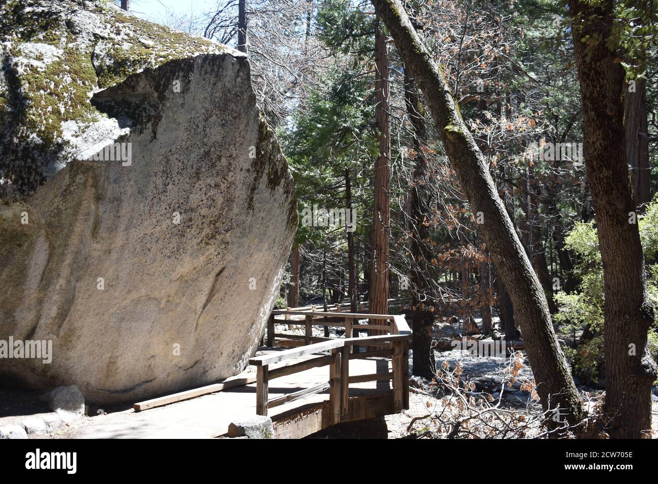 Park with big stones and tall trees Stock Photo - Alamy