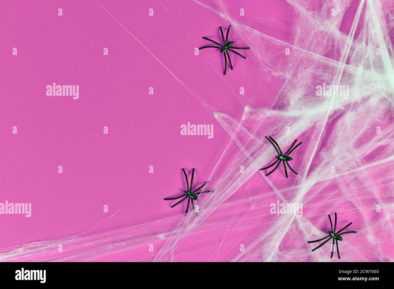 Spider webs and plastic spiders on right side of pink Halloween ...