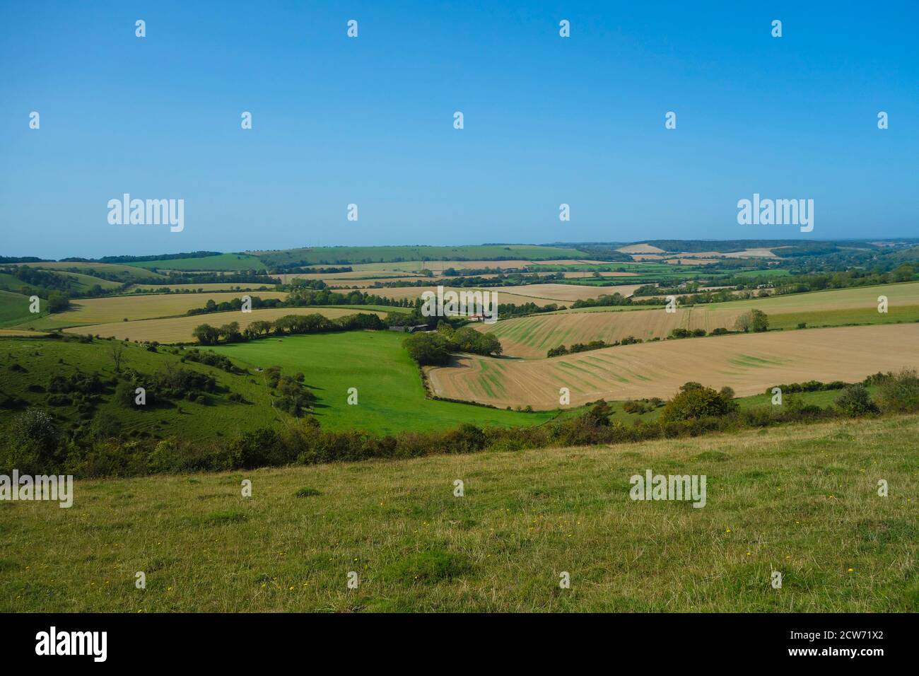 View over Butser Hill in the South Downs National Park Hampshire.Butser ...