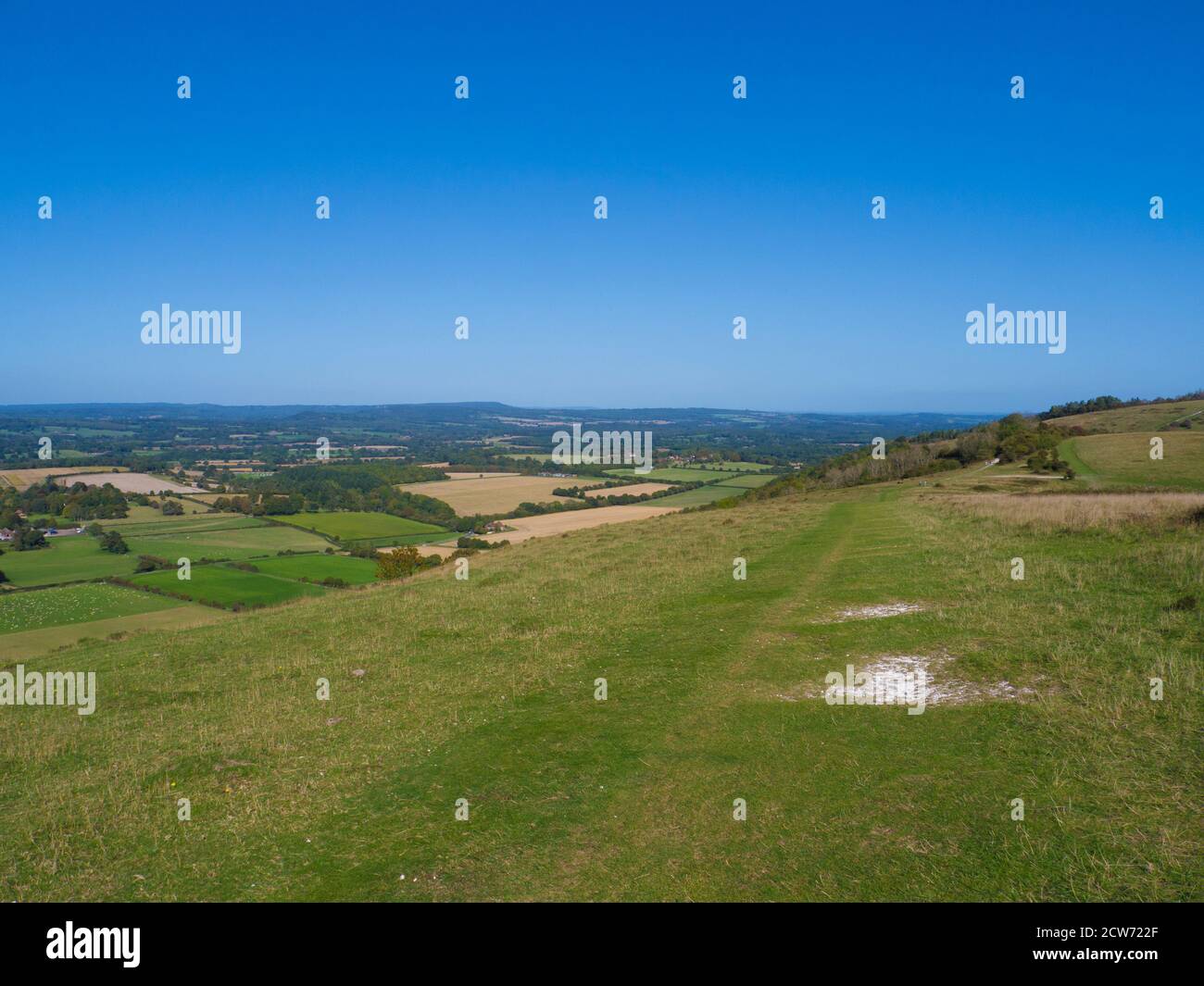 Harting Down is one of the largest areas of ancient chalk downland ...