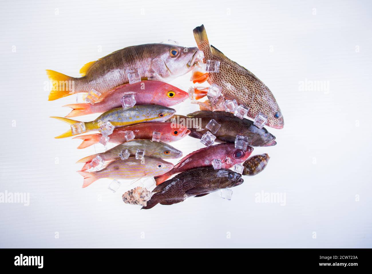 Catch seafood hi-res stock photography and images - Alamy