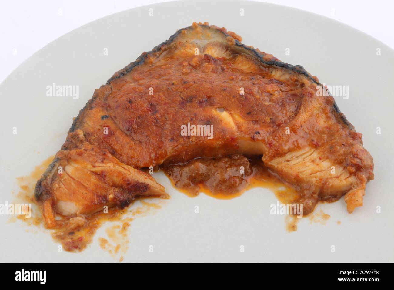 Small shark hi-res stock photography and images - Alamy