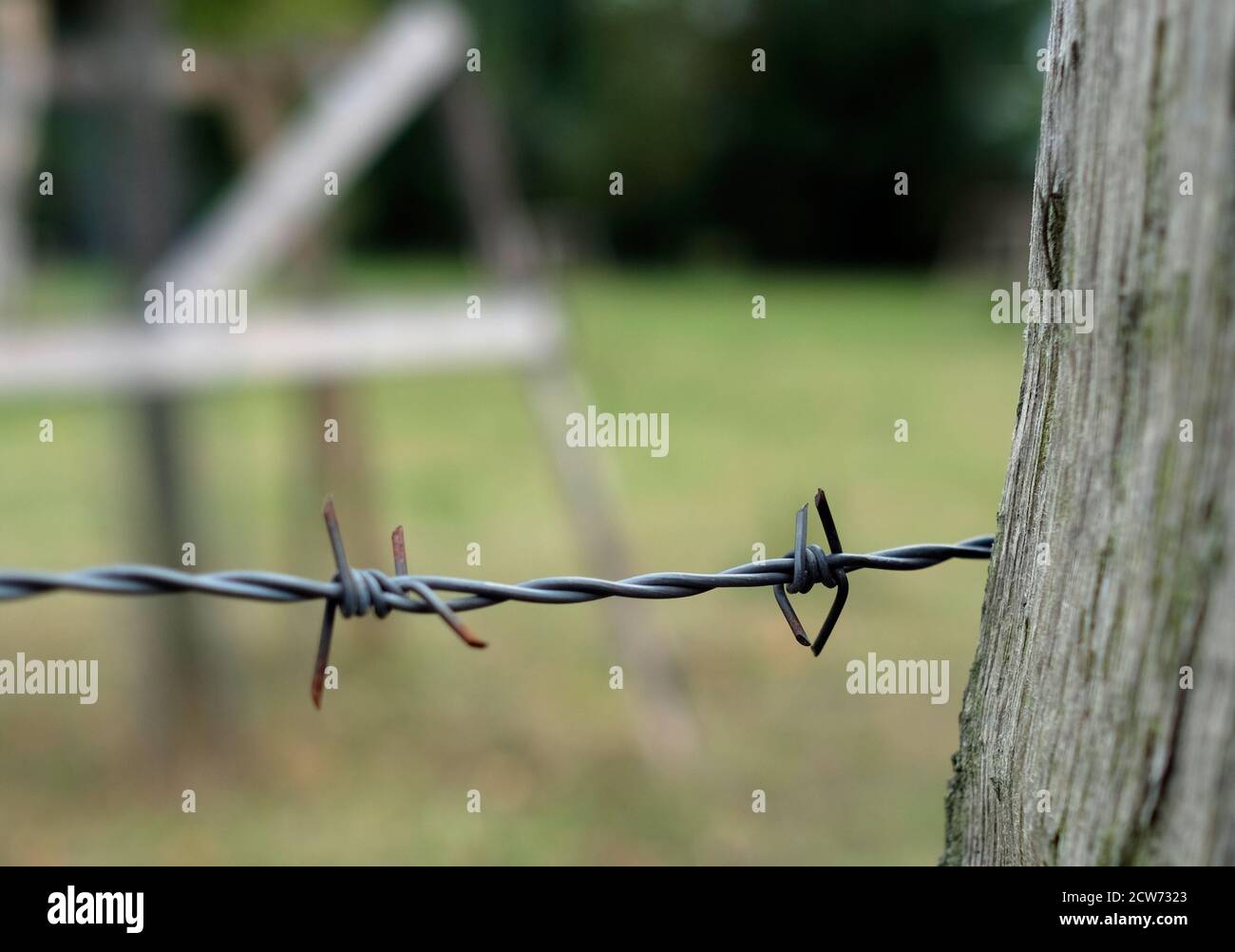 Close-up of barbed wire protecting a field Stock Photo - Alamy
