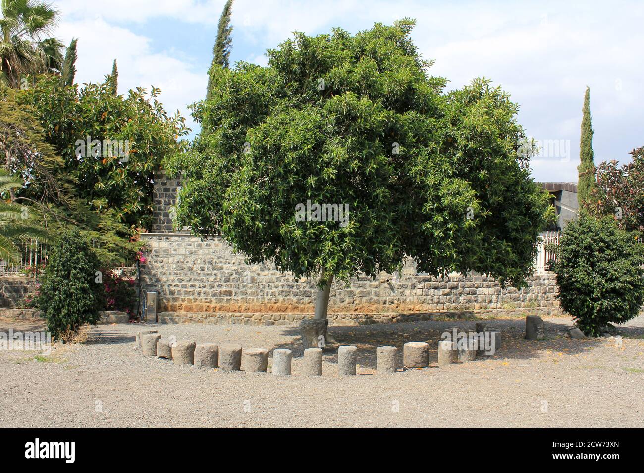Trees and shrubs around the ancient Roman Garrison City of Capernaum on ...