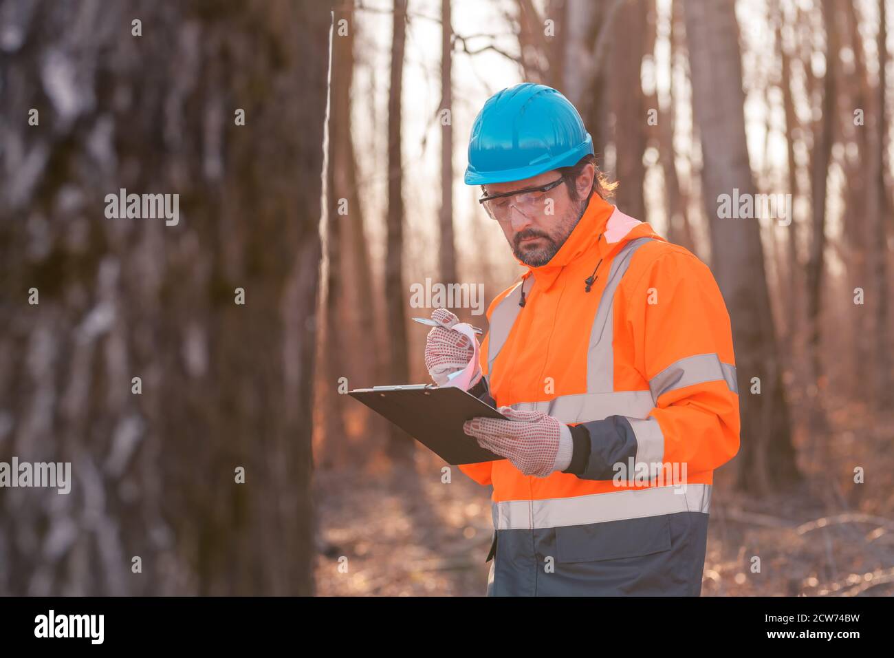 Forestry technician writing notes on clipboard notepad paper in forest ...