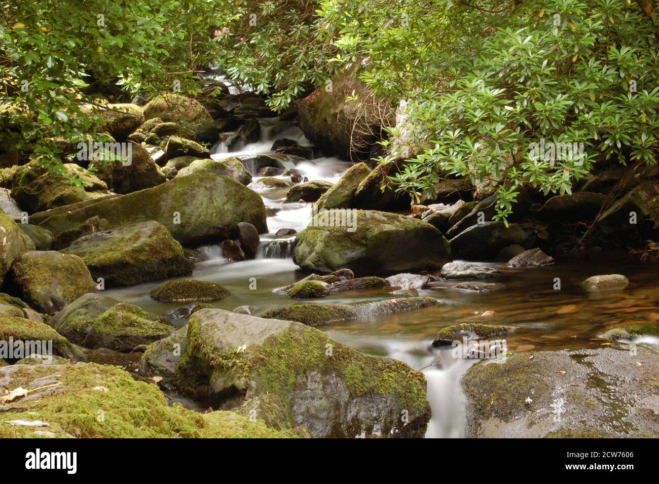 stream flowing ireland - torque falls Stock Photo - Alamy