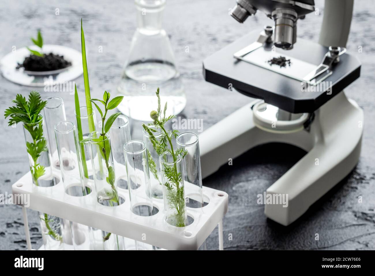 Biotechnology laboratory with plants and microscope on table Stock ...