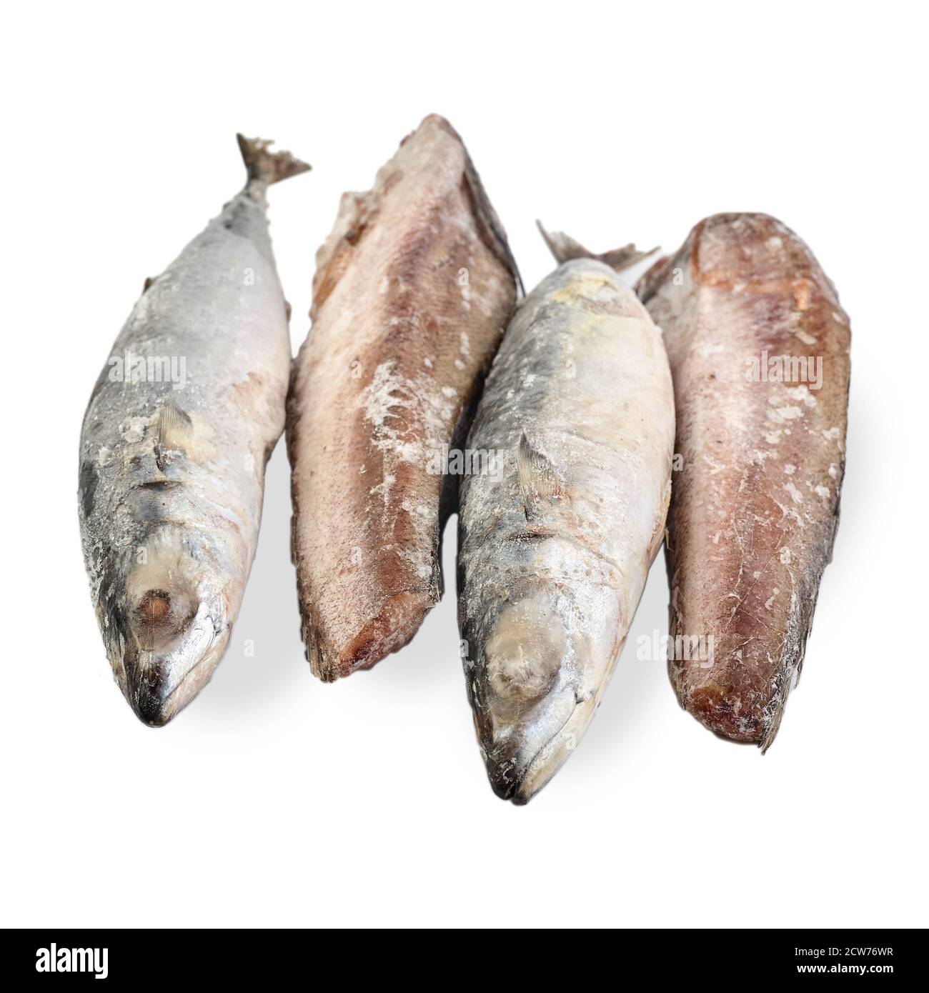 Frozen mackerel and hake isolated on white background. Assortment of ...