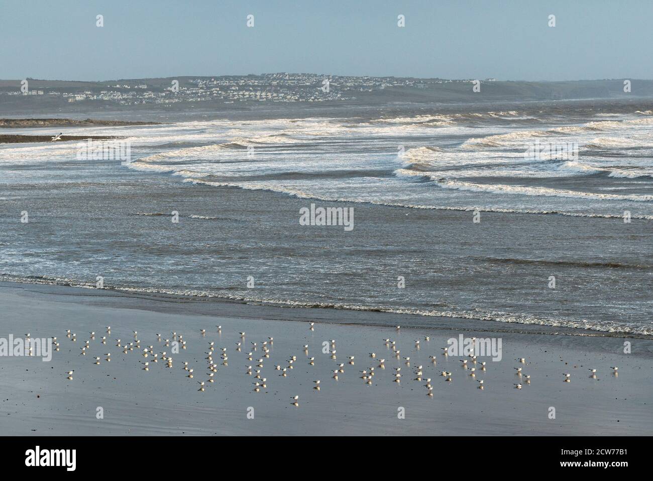 Sandy beach wales hi-res stock photography and images - Alamy