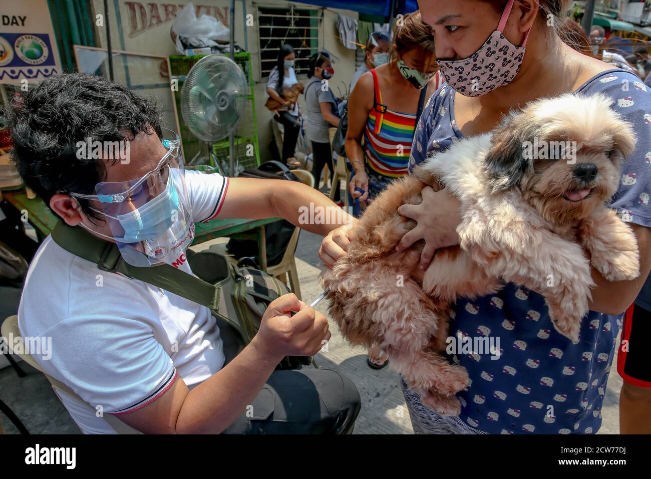 Manila. 28th Sep, 2020. A pet dog receives a free rabies vaccine in ...