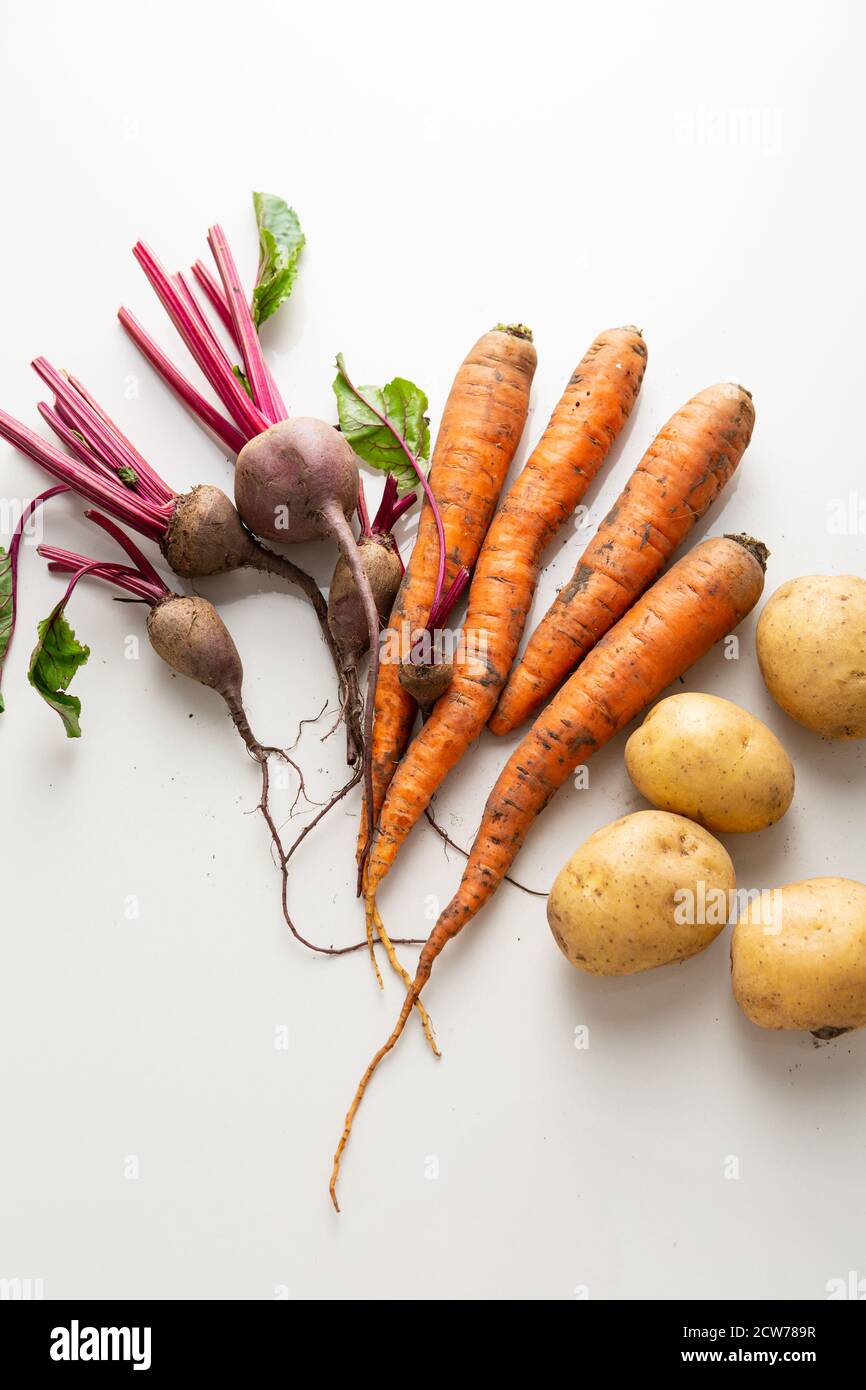 Autumn vegetables roots on light surface Stock Photo - Alamy
