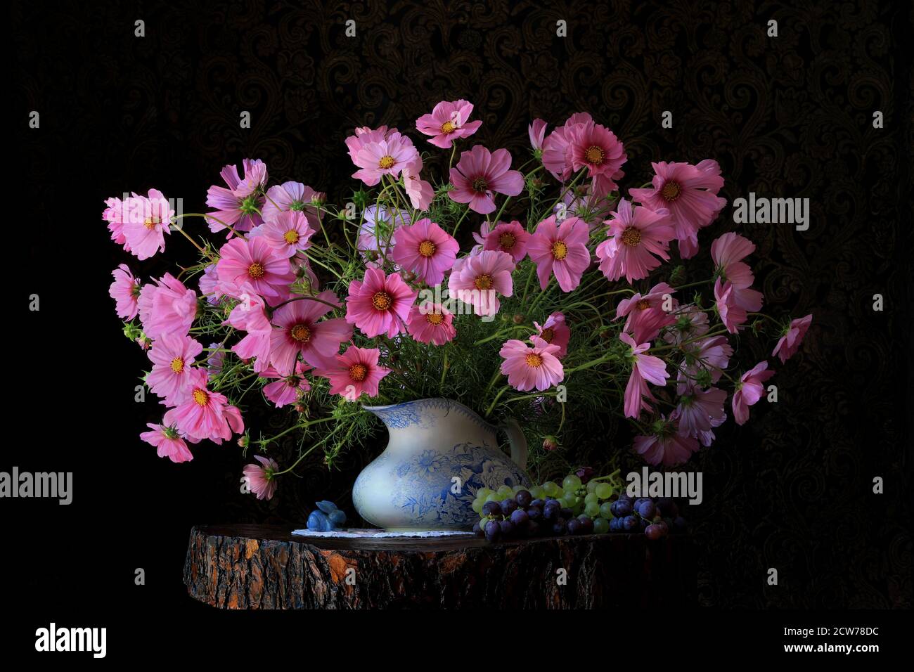 Pink cosmos still life Stock Photo - Alamy