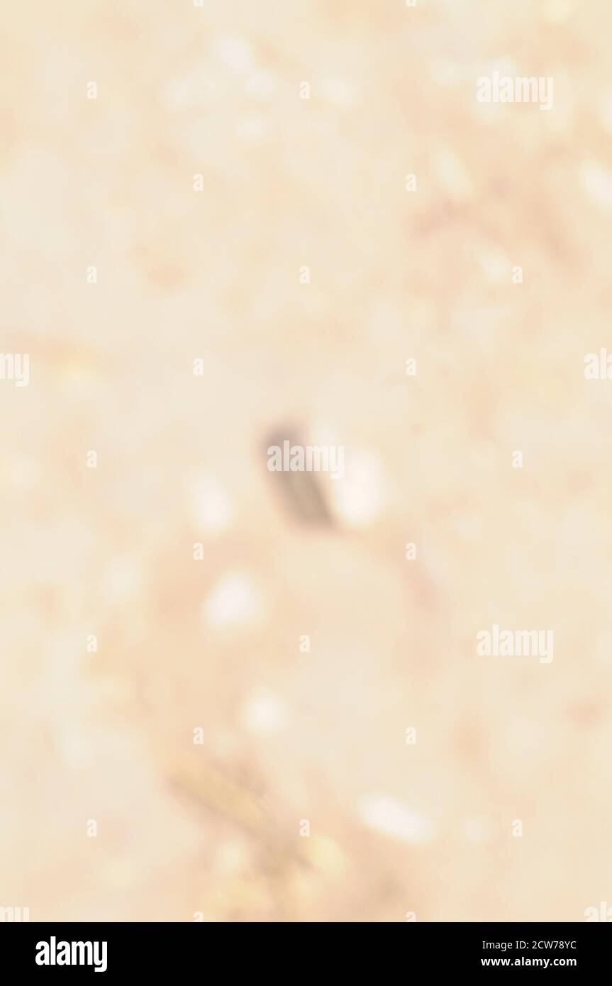 Symbol photo envy hi-res stock photography and images - Alamy