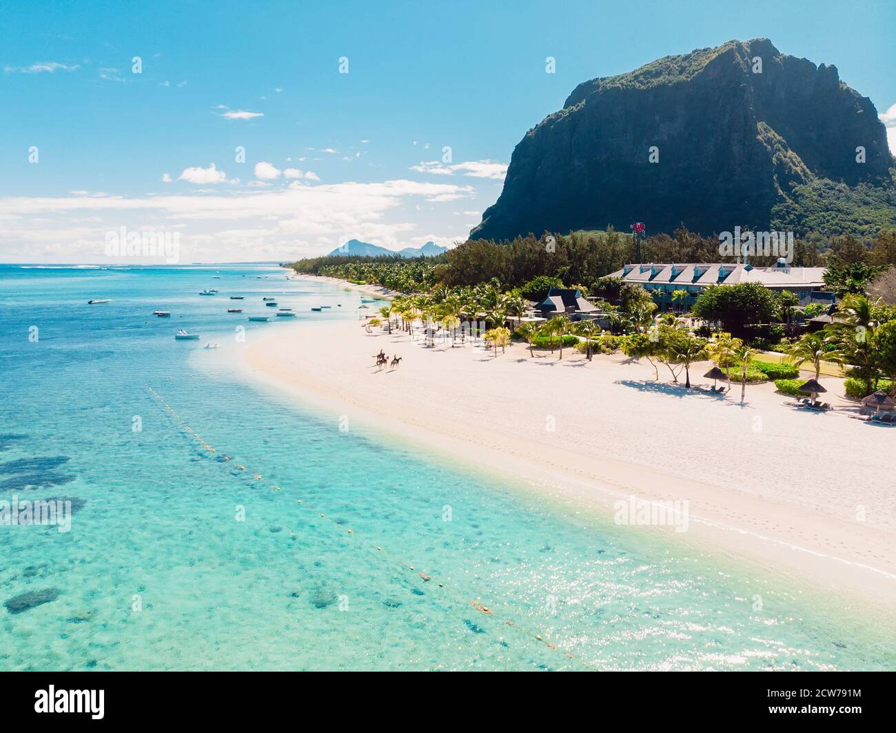 Luxury beach in Mauritius. Tropical beach with palms and transparent ...