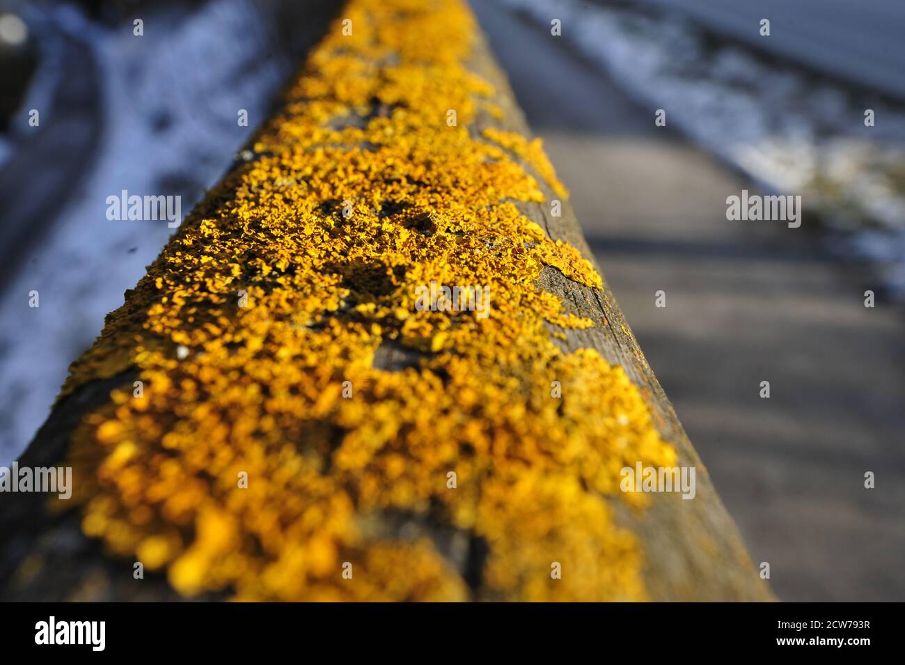 Symbol photo envy hi-res stock photography and images - Alamy
