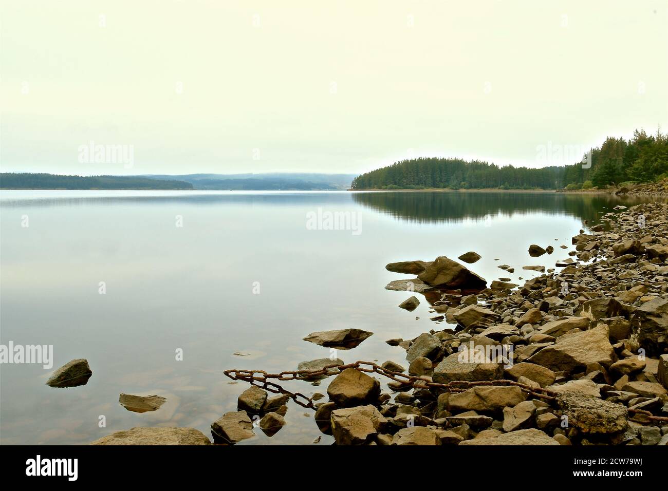 Rocky foreground forest background hi-res stock photography and images ...