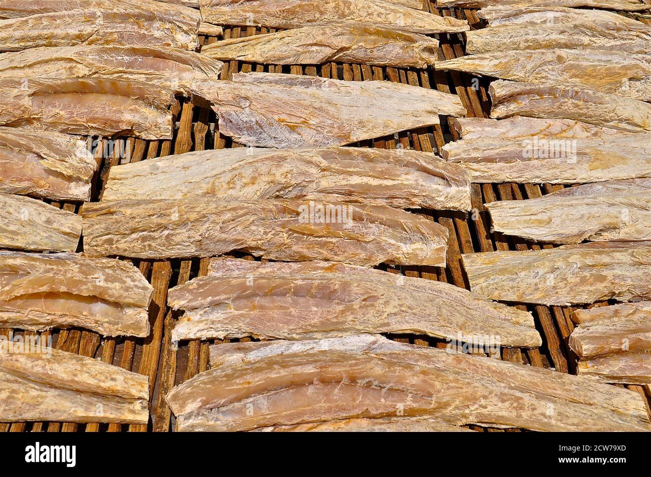 Rows of fish drying in the sun laid out on a bamboo slatted platform ...