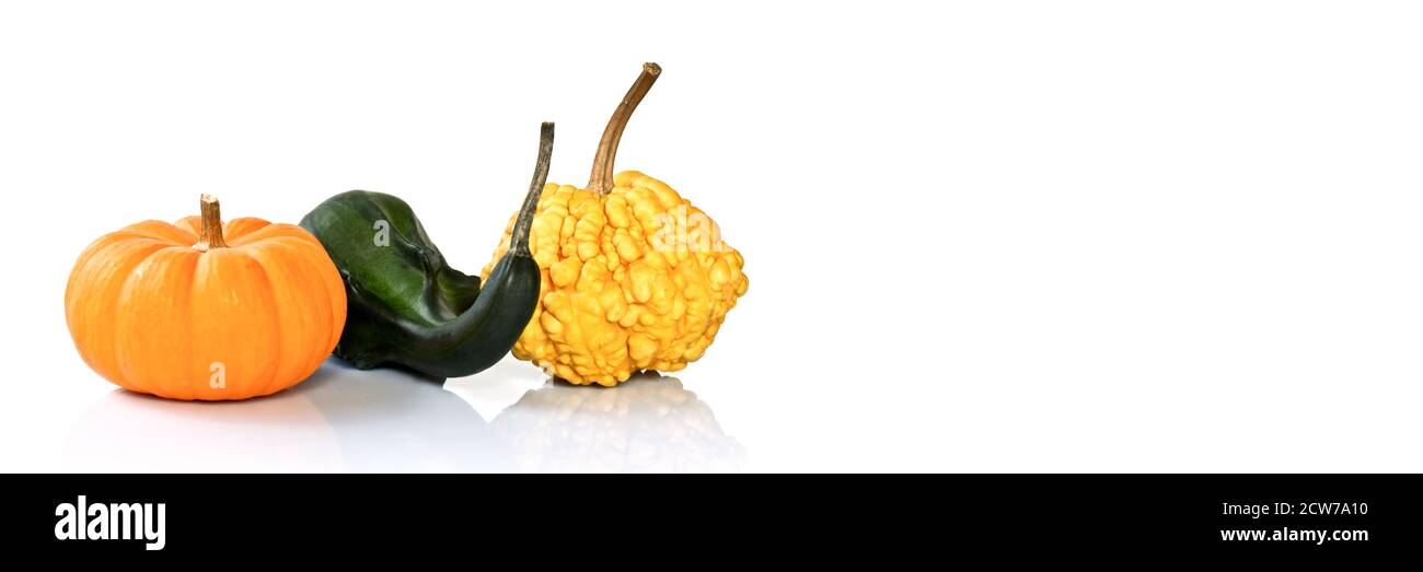 Three gourds isolated on white panoramic background. Fall web banner ...