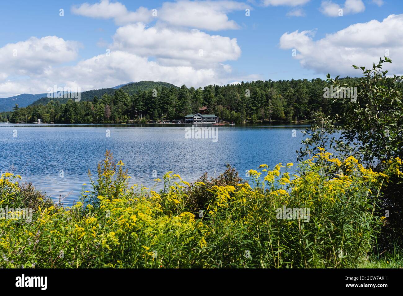 Yellow flowers and greenery in front of Mirror Lake and the town of ...