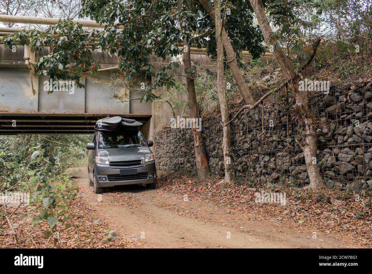 Photo of jungle people hi-res stock photography and images - Alamy