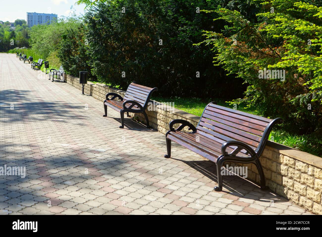 Spine Wood Park Bench and Walking Path Stock Photo - Alamy