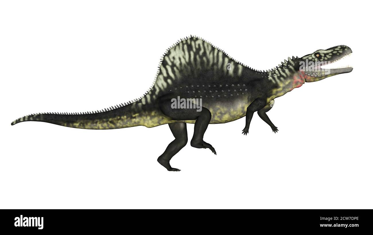 Arizonasaurus dinosaur roaring - 3D render Stock Photo - Alamy