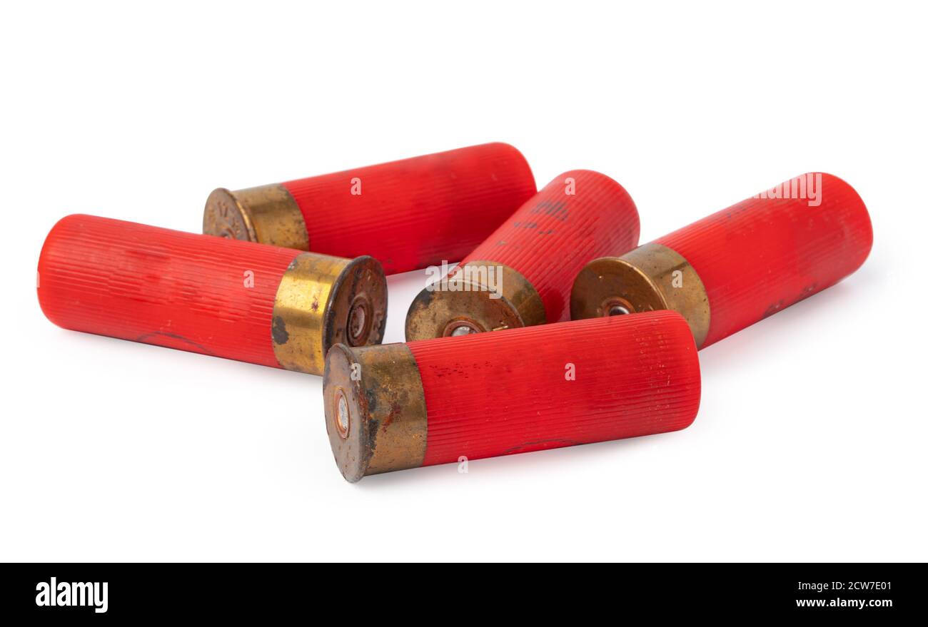 Shotgun shell cartridge isolated on white background Stock Photo - Alamy