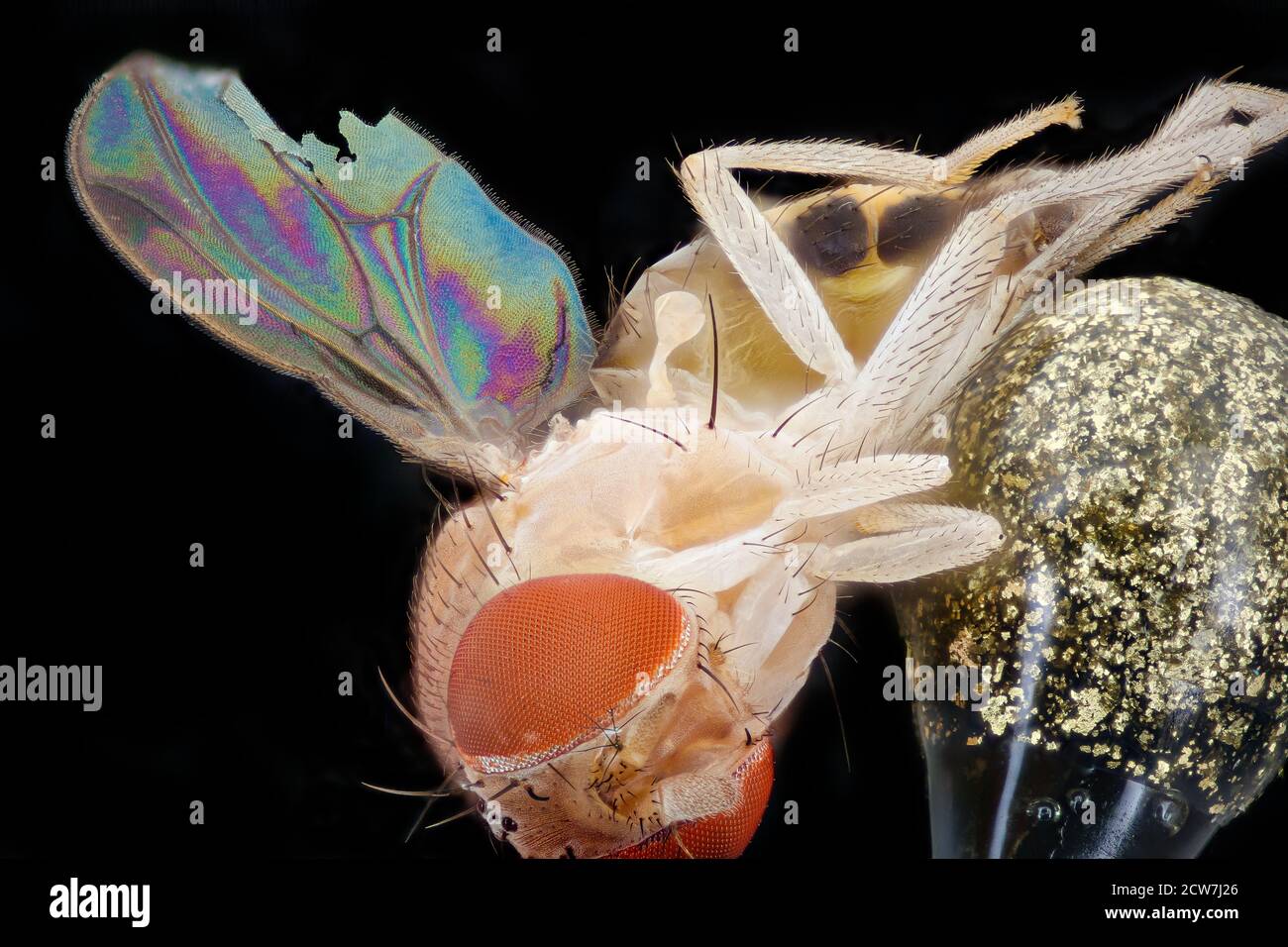 17 08 2020 hi-res stock photography and images - Alamy