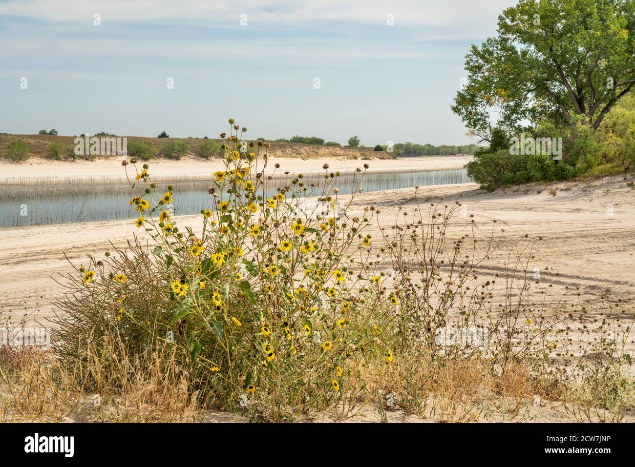 sandy beaches of Lake McConaughy, a reservoir on the North Platte River ...