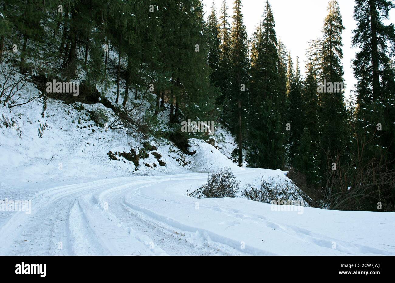 Narkanda hi-res stock photography and images - Alamy