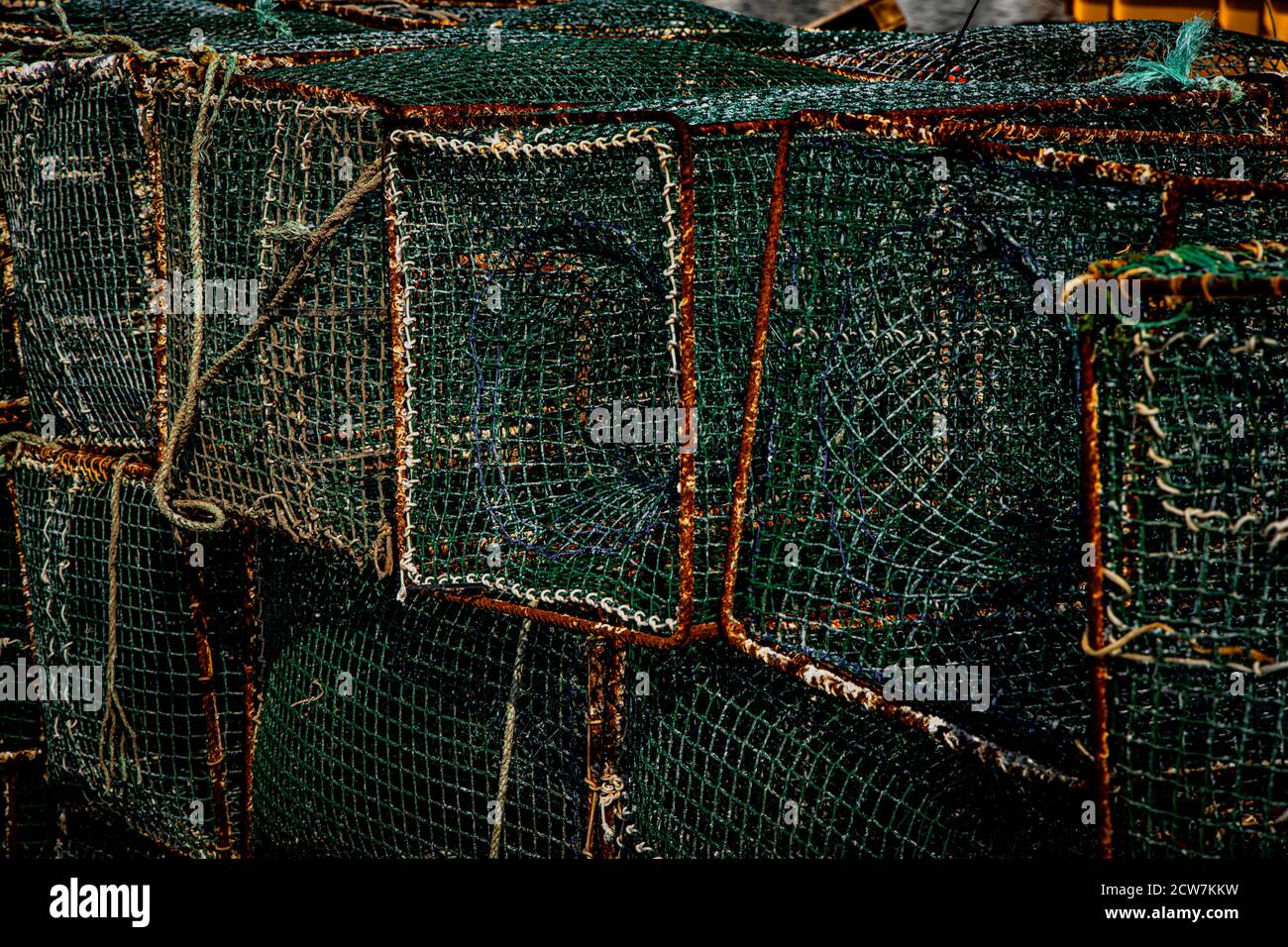 Commercial fish hi-res stock photography and images - Alamy