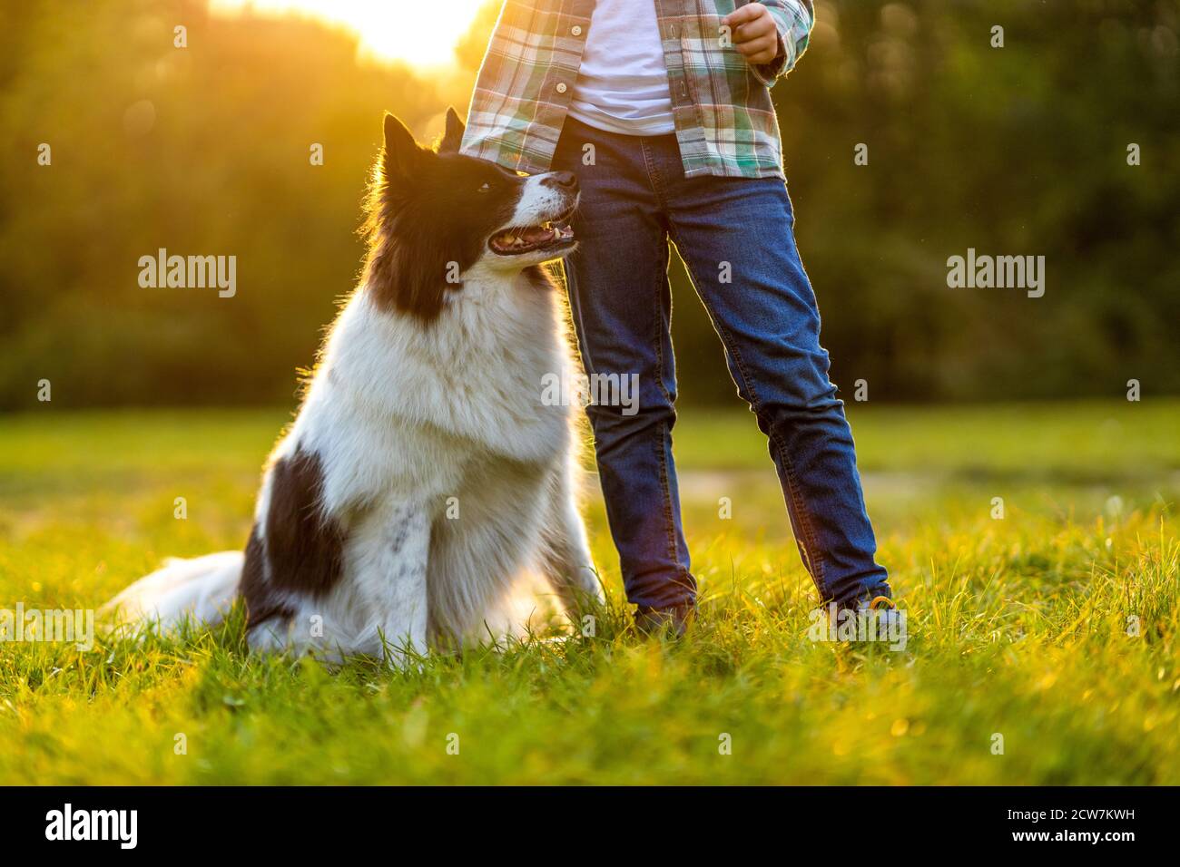 Little boy playing with his dog outdoors in the park Stock Photo - Alamy