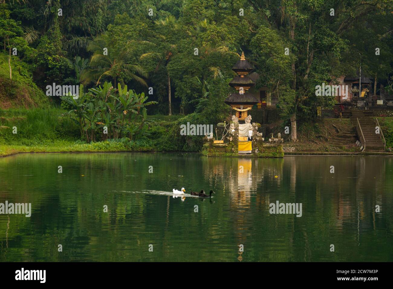 A serenity water temple in Bali, a site for purification ceremony Stock ...