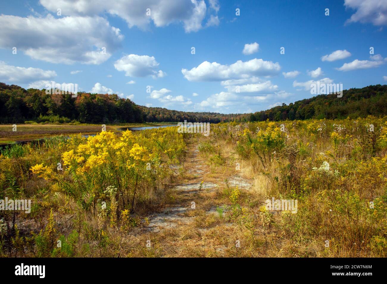 Pristine meadow hi-res stock photography and images - Alamy